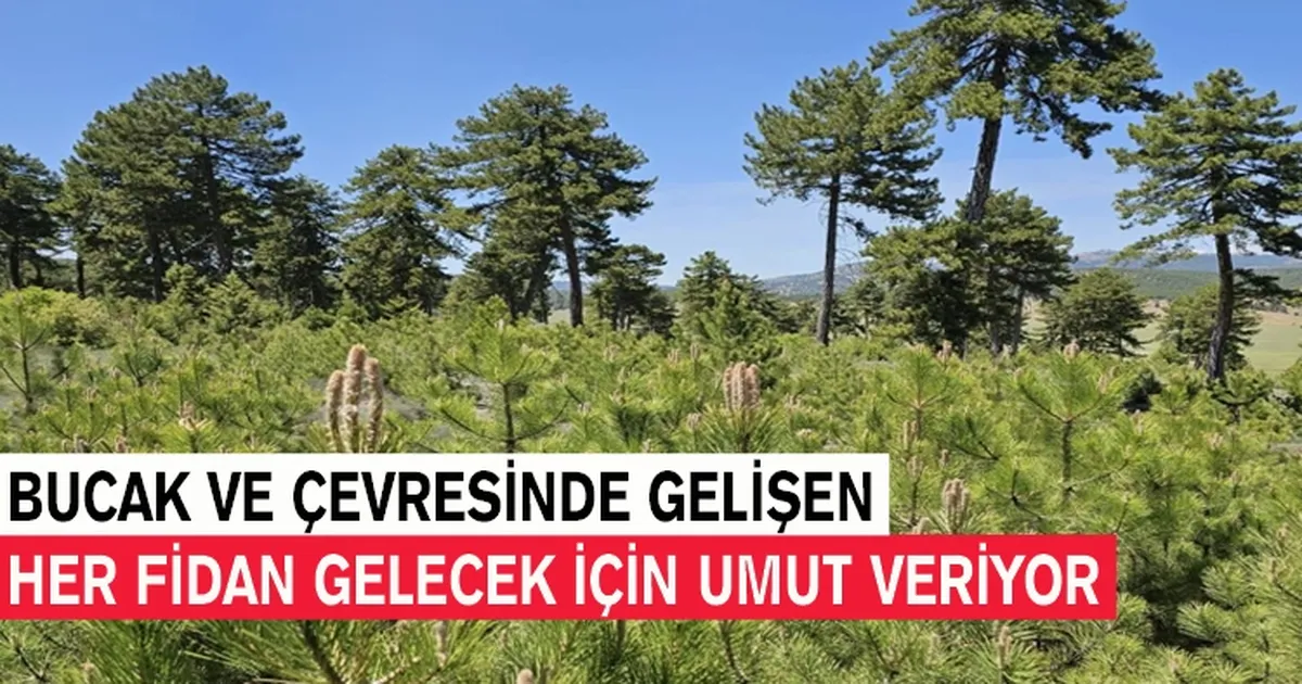Bucak Ve Çevresinde Gelişen Her Fidan Gelecek İçin Umut Veriyor - SES15