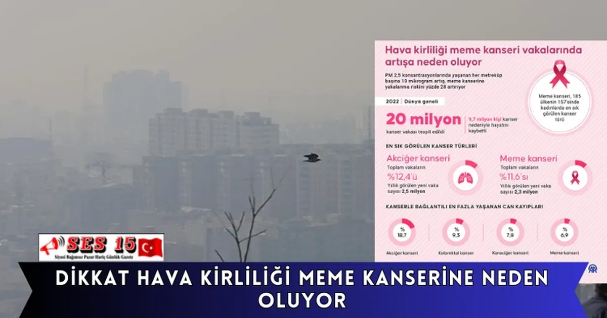 Dikkat Hava Kirliliği Meme Kanserine Neden Oluyor - SES15